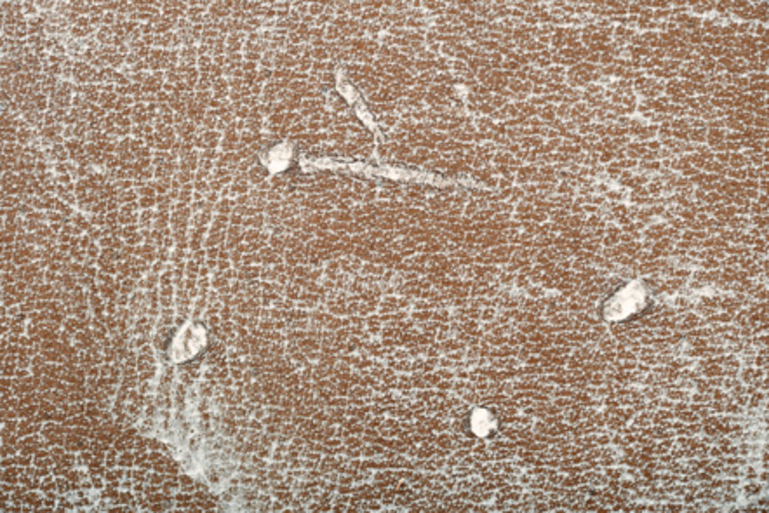 A facelift for leather by hiding defects - TFL