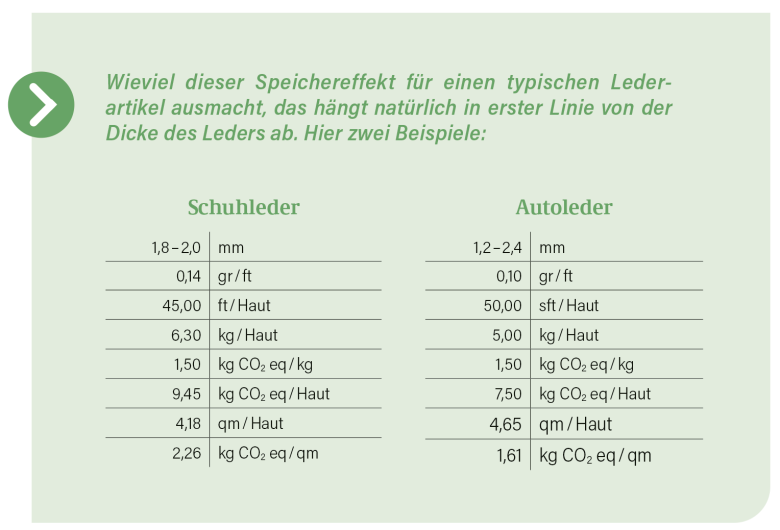 LEDER als Kohlenstoffspeicher NEU DENKEN - TFL